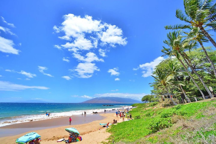 Maui Parkshore 307 - Stunning Remodel, Ocean Views - Wailea, HI