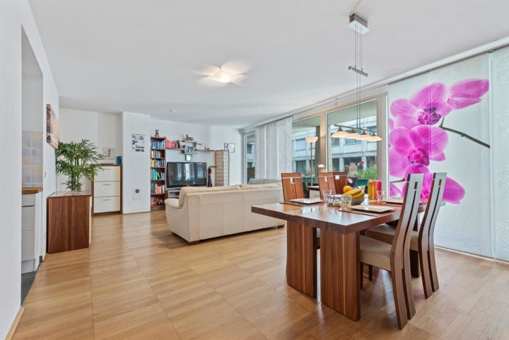 1 Bedroom, In The City Center, Garage, Terrace - Viena