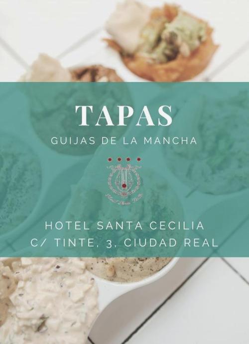 Hotel Santa Cecilia - Ciudad Real
