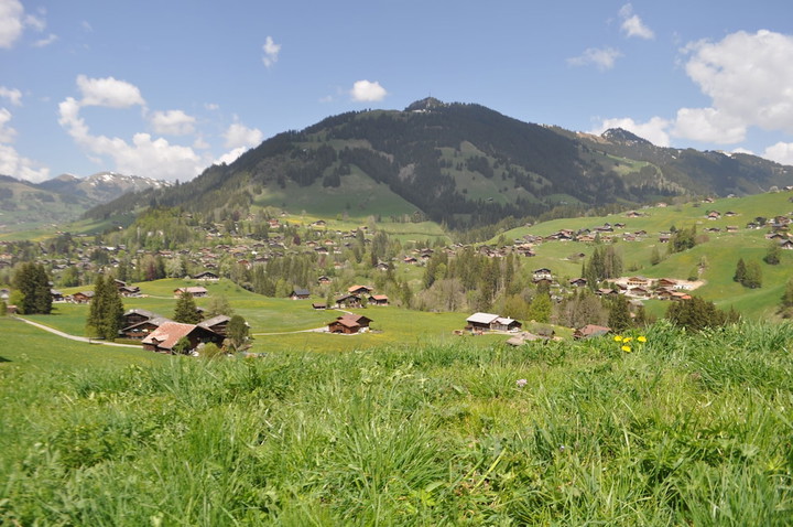 Alpenchalet Weidhaus - Gstaad