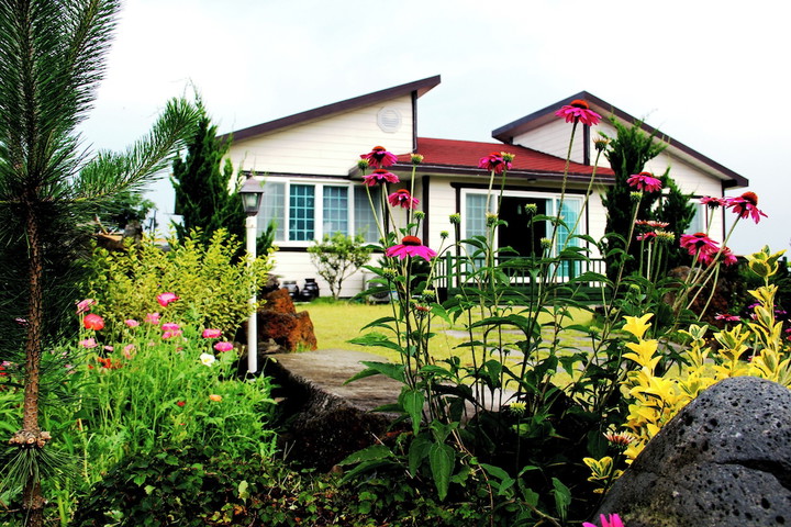 Casa Linda Pension-acommodation - Jeju-si