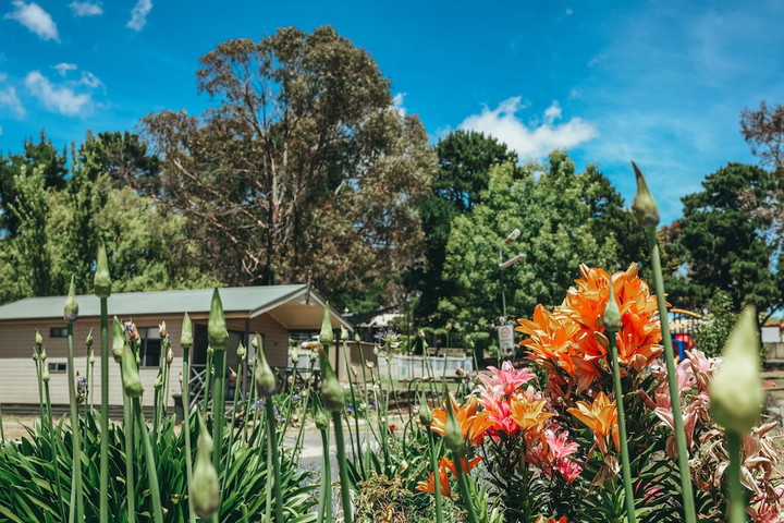 Eagle Hawk Park - Canberra