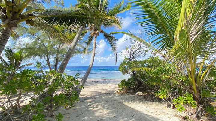 Moorea Chill And Beach Lodge - Polynésie française