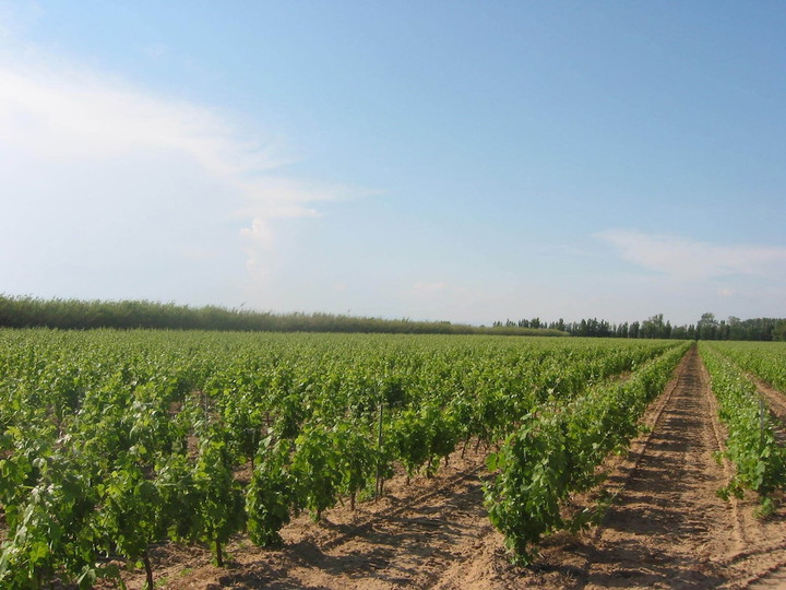 Domaine La Yole Wine Resort - Sérignan