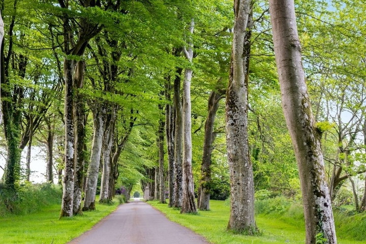Manoir De Kerhuel De Quimper - Finistere