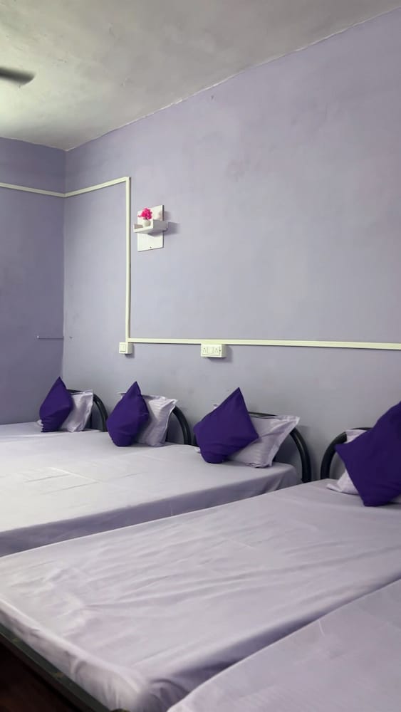Livzo - Purple House - Ahmedabad