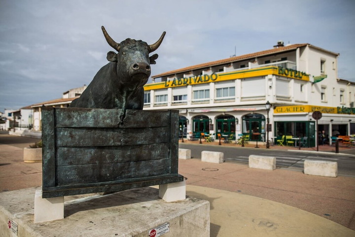 L'abrivado - Saintes-Maries-de-la-Mer