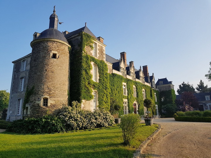 Chateau De L'epinay - Chalonnes-sur-Loire