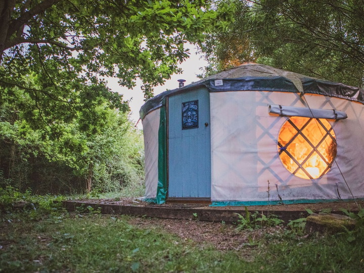 Brandon House Farm Yurt - Norfolk