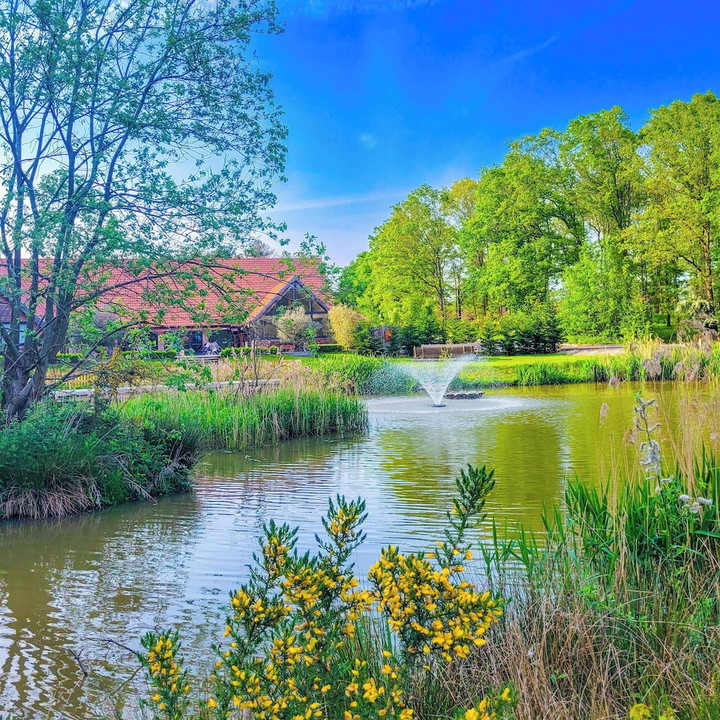 Hay's Wood Retreat - Angleterre