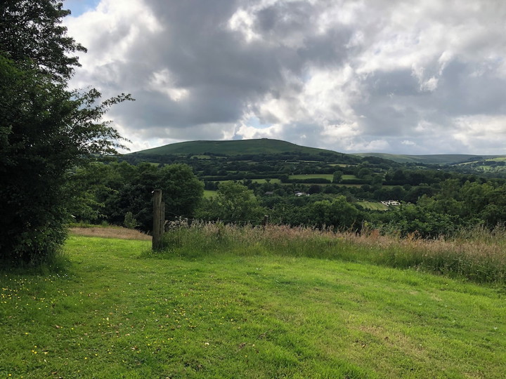 Monument Field South Brent - Dartmoor Forest