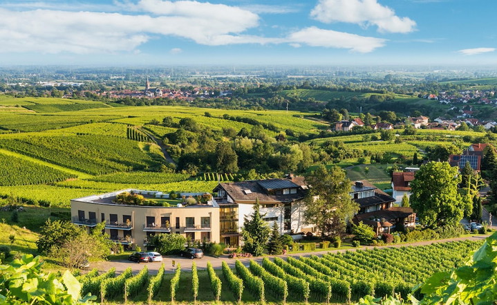 Hotel Rebenhof - Bühl