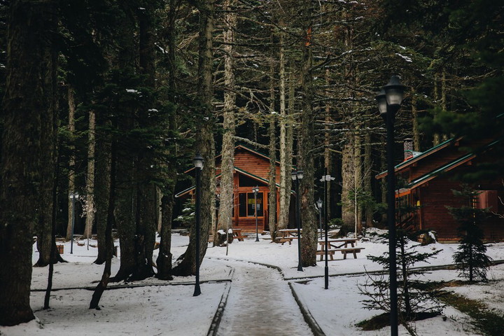 Karinna Forest Houses - Uludağ