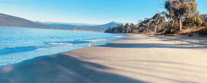 Driftwood Cottages - Tasmania