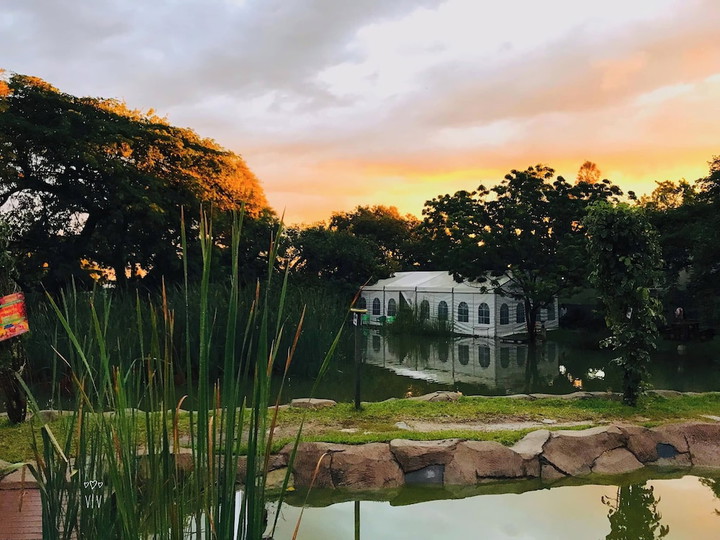 T3c Gardens - Lusaka