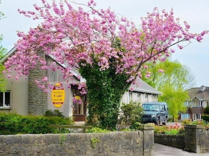 Ach Na Sheen Guest House - Tipperary