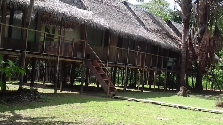 Jungle Reps - Iquitos