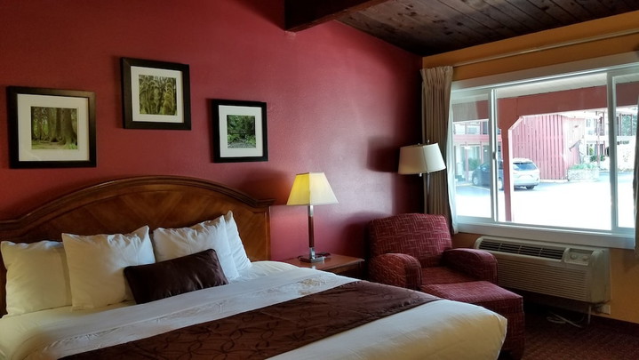 The Forks Motel - 