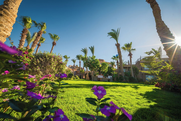Ananea Hurghada – Adults Only - Hurghada