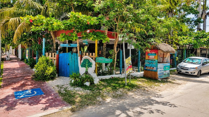 Hostal & Camping El ÁRbol De La Vida. - Bacalar