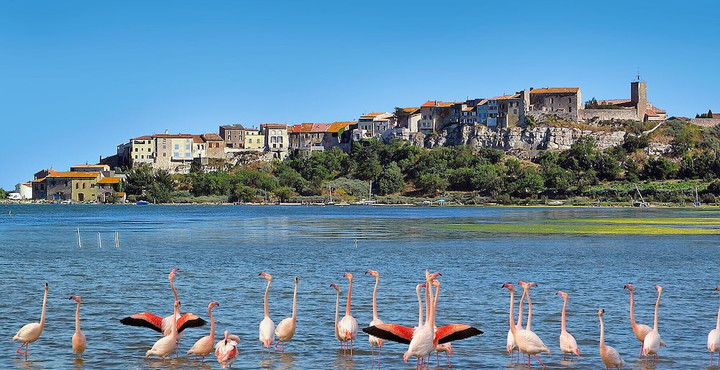 La Lagune - Narbonne