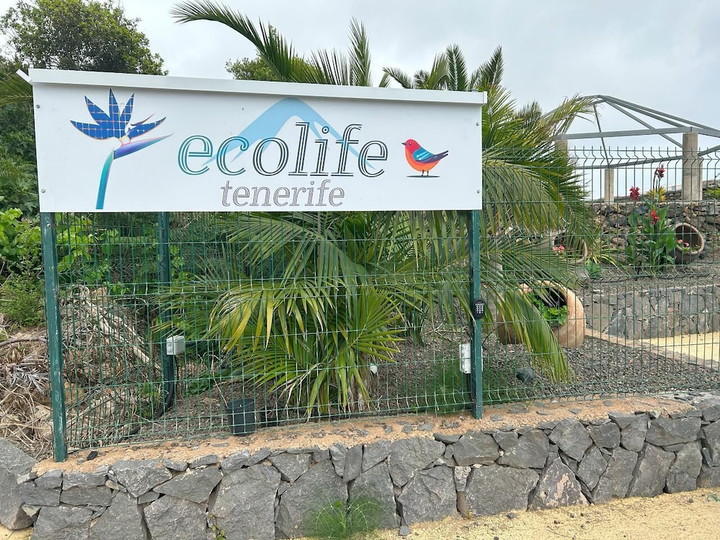 Ecolife Tenerife Houses - Tenerife