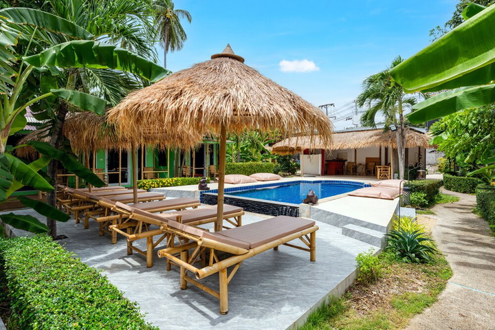 Avocado - Koh Samui