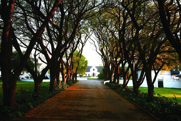 Kievits Kroon Gauteng Wine Estate - Pretoria (Dél-Afrika)