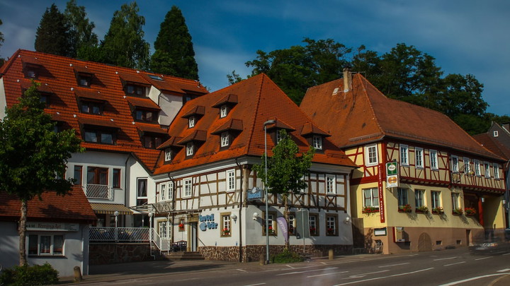 Hotel Bär Sinsheim - Sinsheim
