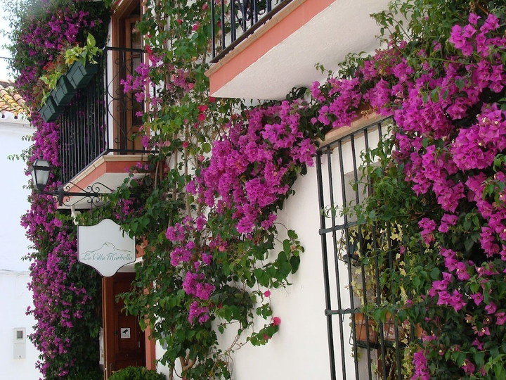 La Villa Marbella - Marbella