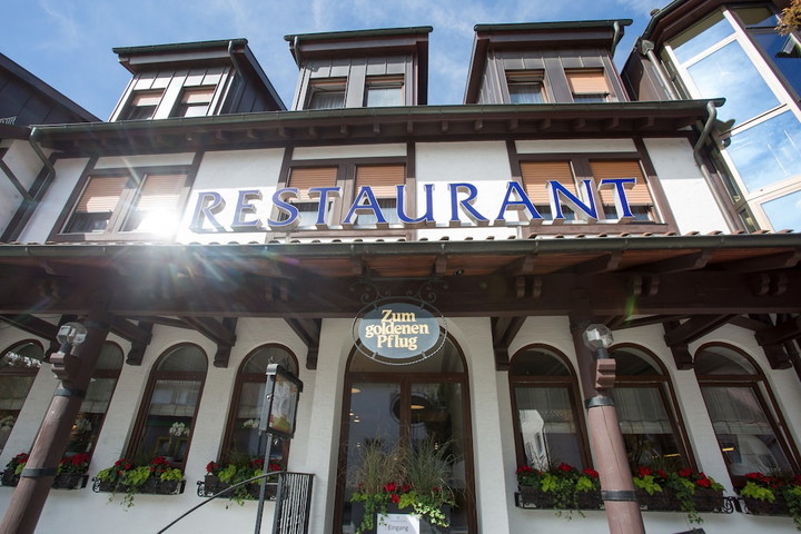 Hotel & Restaurant Goldener Pflug - Ludwigsburg