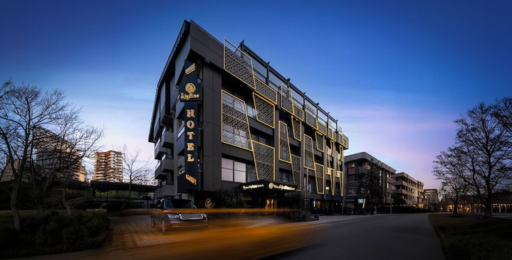 The Alpfine Hotel - Sincan