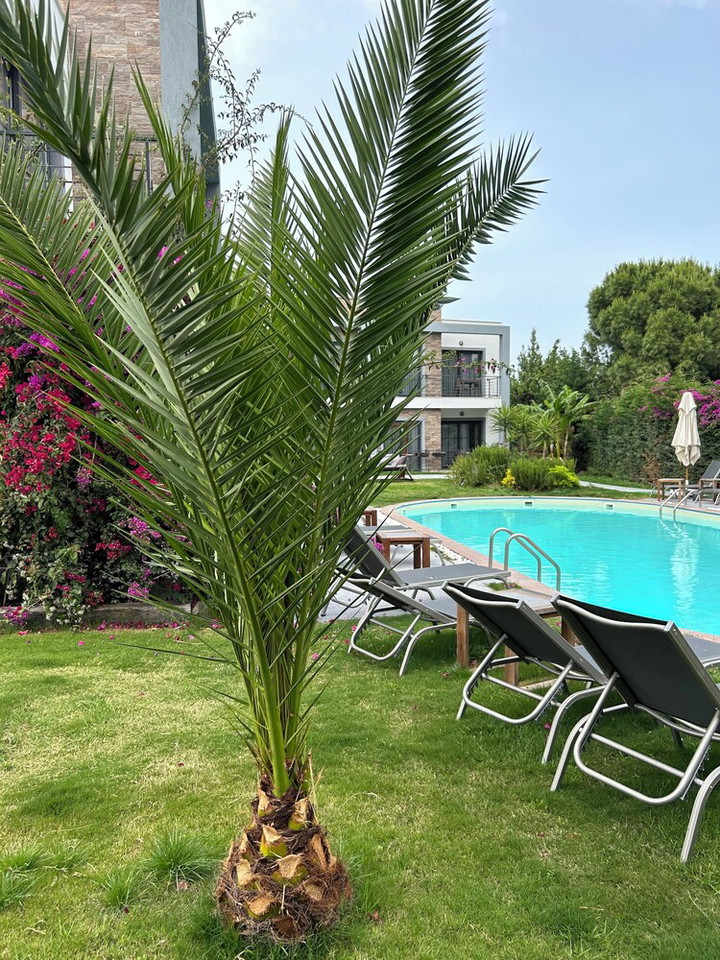 Malta Bodrum - Gündoğan