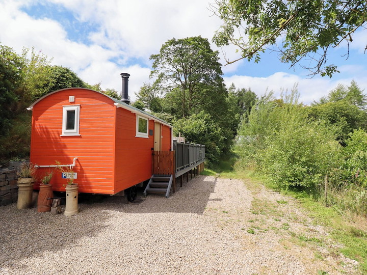 Red Kite At Wild Valley Huts - Shropshire