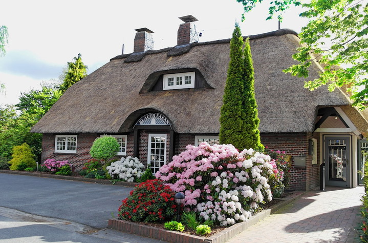Hotel Blauer Fasan - Wiesmoor