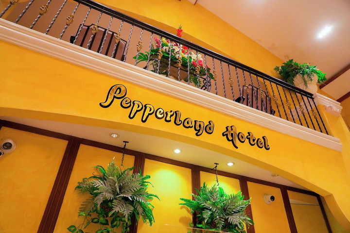 The Pepperland Hotel - Legazpi