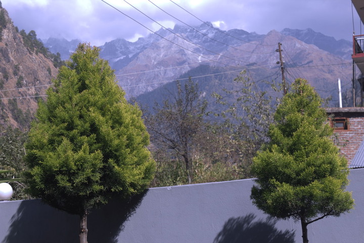 Woodward 2 By 4wildflower - Kasol