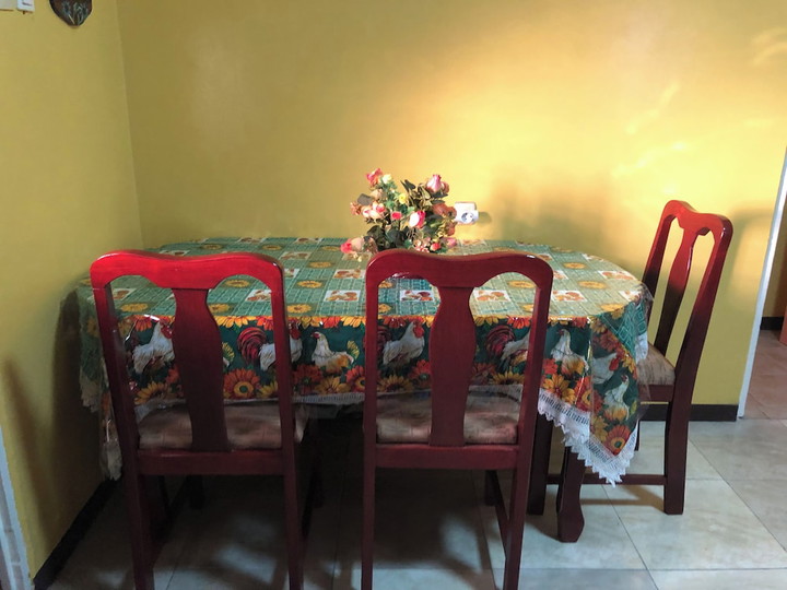 🏡&nbsp;Logerthine Studio Suriname🇸🇷 - Paramaribo