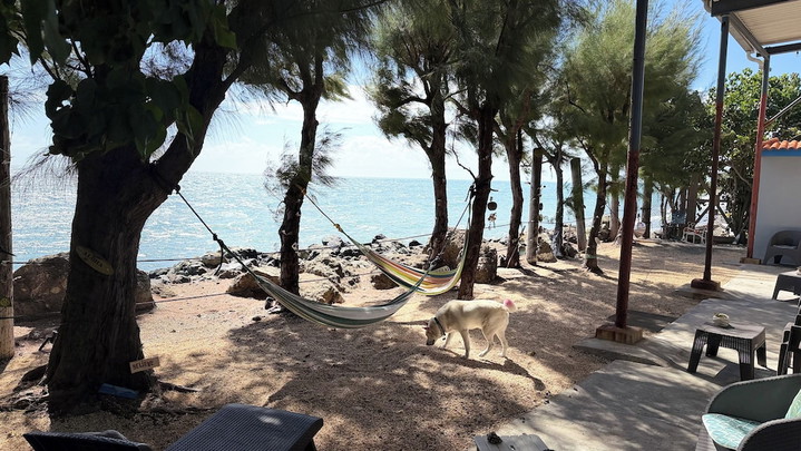 The Place At The Sea - Ponce