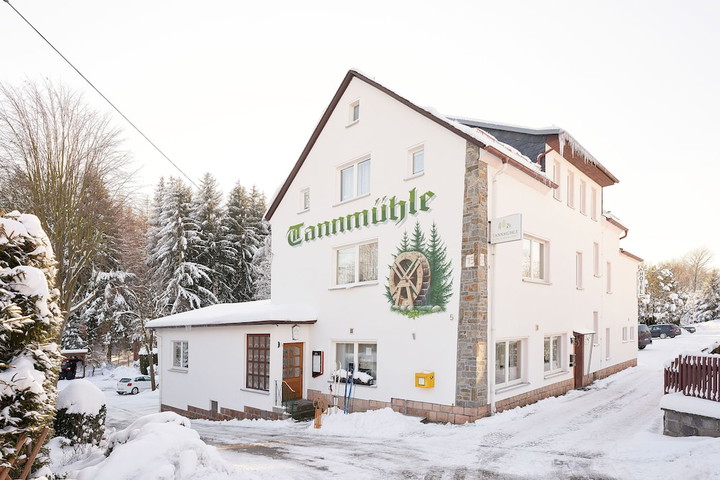 Waldhotel Tannmuehle - Chemnitz
