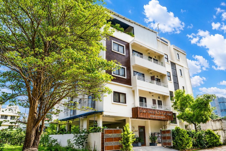 Dlite Rivera - Bangalore