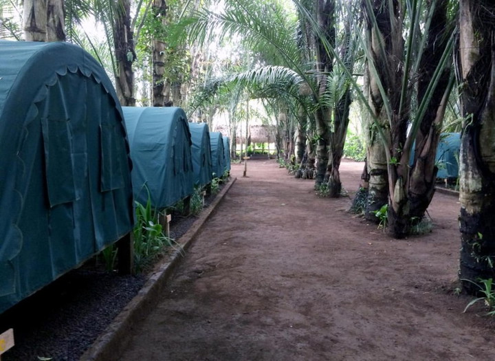 Tegal Dukuh Camp - Bali