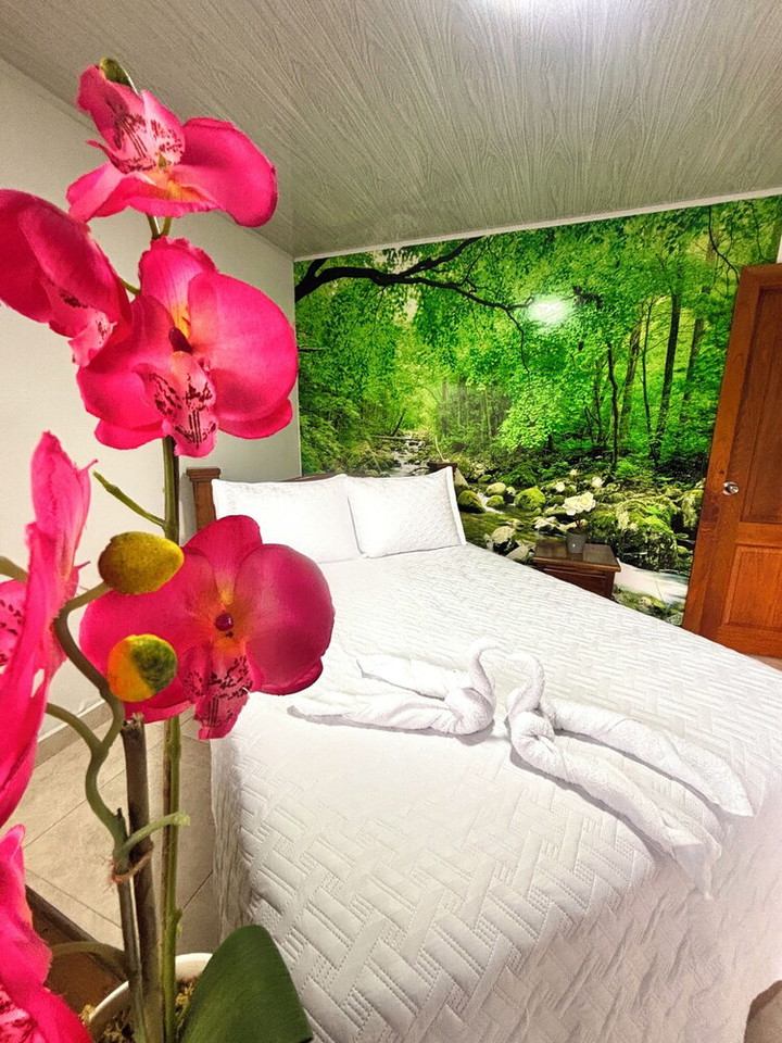 Hotel Sleep Well - Filandia