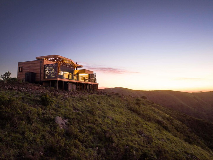 Mantis Hiddn In Addo - Western Cape