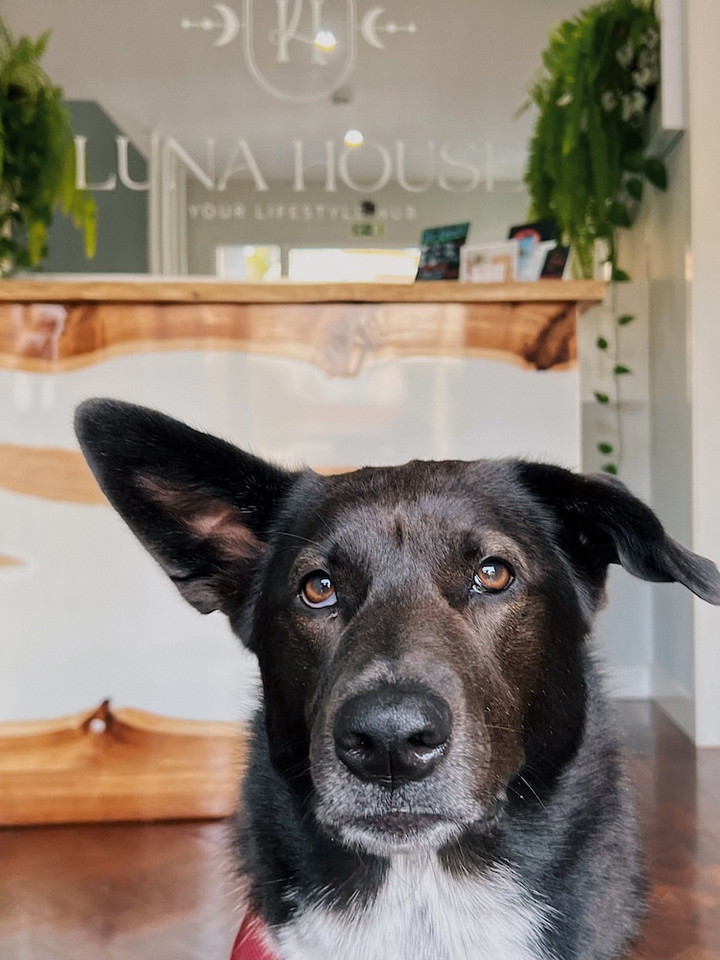 Luna House - Estoril