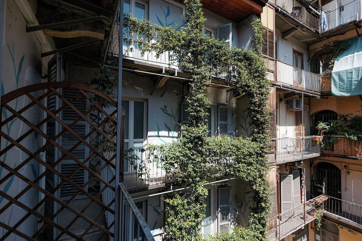Tomato Backpackers - Torino