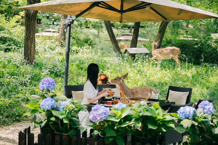 Zhi Resort Beijing - Peking