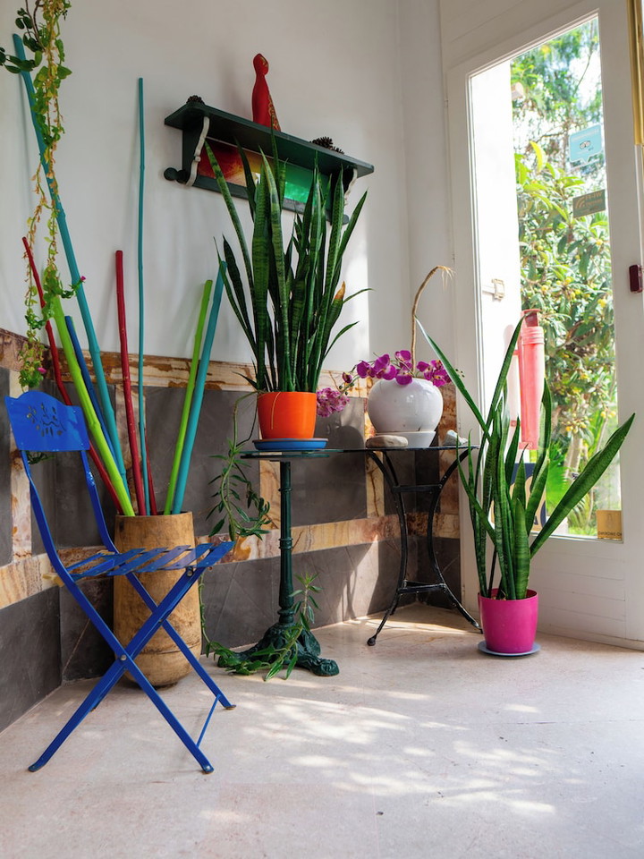 Villa Les Palmes - Tunis