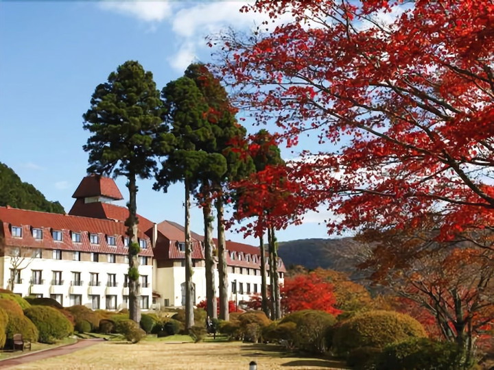 Hotel De Yama, Hakone Lake Side - Hakone
