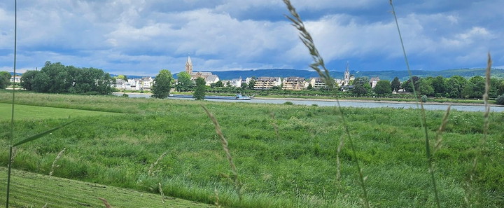 Rheinhotel Larus - Koblenz